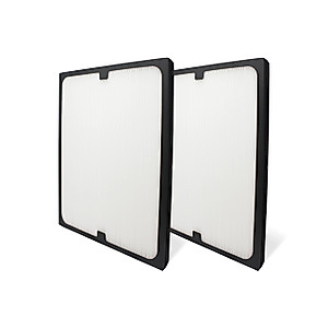Fette Filter - True HEPA Filter Compatible with Blueair 200/300 Series Particle Filter for Models (Pack of 2)