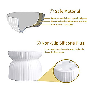 GOCESS Cat Food Bowls,Elevated-Cat Bowls for Food and Water,Ceramic Raised Cat Bowls for Indoor Cats and Small Dogs,Cat Dishes Set of 2,White