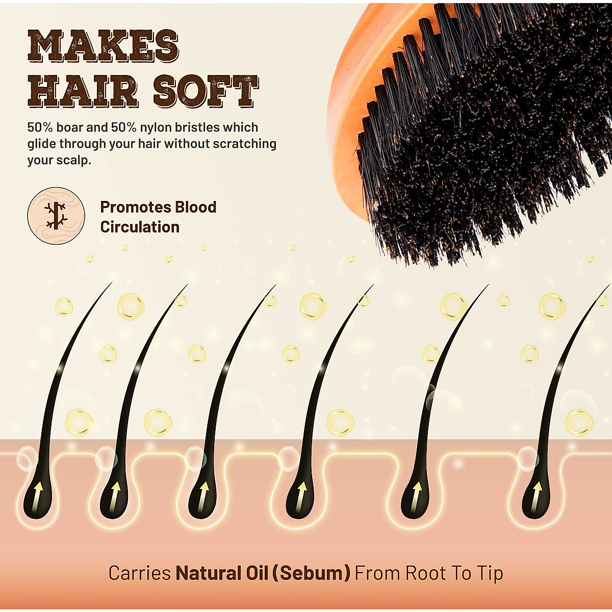 Styleomize Curved Wave Brush with Firm Boar Bristles - Premium Quality Wood Brush for Men's Hairstyling That Keeps Your Scalp Safe (Medium)