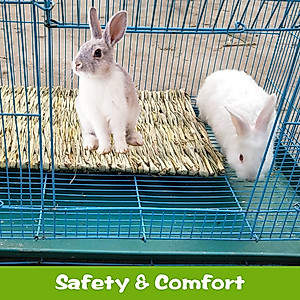 Hiflora Rabbit Grass Mats 6 Pack Bunny Bed Rabbit Toys Easy for Burrowing Natural Grass Scent Bunny Toys for Rabbits Indoor, Guinea Pig, Hamster, Hedgehog Comfortable and Cozy Environment
