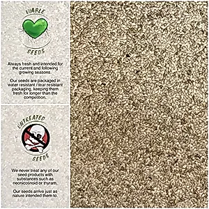 Seed Needs, Cucamelon/Mexican Sour Gherkin Seeds for Planting (Melothria scobra) Heirloom, Non-GMO & Untreated (2 Packs)