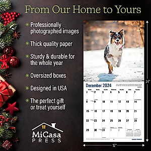 MICASA Australian Shepherds 2024 Wall Calendar 12 Month | 12" x 24" Open | Thick & Sturdy Paper | Giftable | Calendar 2024