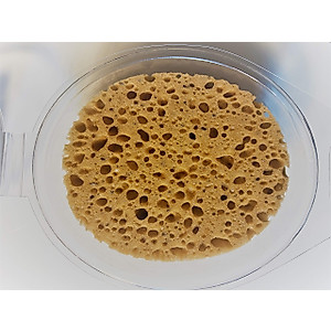 Stepsaver Products Orange Peel and Knockdown Texture Combo Sponge