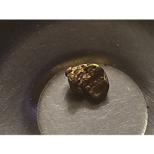 Unsearched Gold Paydirt for Panning from Alaska Gold Guaranteed