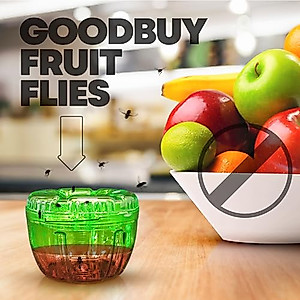GREENSTRIKE 2-Pack Fruit Fly Traps for Indoors use. 120 Days Solution – Gnat Trap and Effective Fruit Fly Trap – Easy to Use – Best for Kitchen – Dining Areas - Reusable