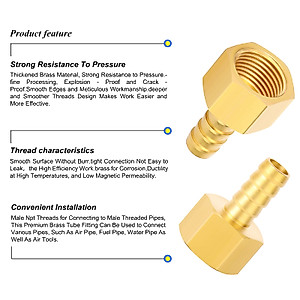 TAILONZ PNEUMATIC 1/4 Inch Barb x 1/4 Inch NPT Brass Female Hose Fitting Connector （Pack of 10）