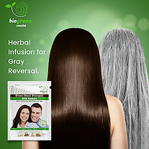 Biogreen Roots Ammonia-Free Herbal Hair Shampoo - Effectively Covers Gray Hair for Men and Women - Natural Color and Herbal Nourishment - No Stain on Skin - Brown Black (5 sachets x 25 ml)