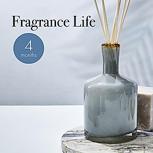 LAFCO New York Reed Diffuser Refill, Sea & Dune - 8.4 oz - Up to 4-Month Fragrance Life - Includes Natural Wood Reeds - Free of Dyes & Propellants - Made in The USA