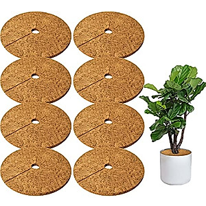 HFHOME 8pcs 17.5" Dia Coconut Fibers Tree Mulch Ring Protector Mat, 17.5 Inch Natural Coco Coir Tree Protection Mats, Tree Disc Plant Cover for Indoor Outdoor Lawn, Potted Plants
