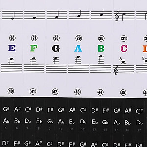 1 Set Electronic Keyboard Stickers Music Label Notes 88/61/54/49 Key Transparent for White Keys Piano Decoration(1.37inch,Transparent)