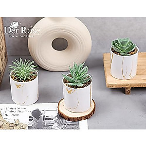 Der Rose 3 Packs Small Fake Plants Succulents Plants Artificial in Pots for Home Office Desk Decor for Women