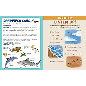 Backpack Explorer: Beach Walk