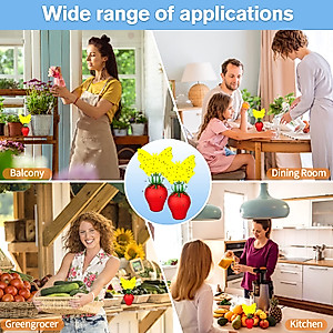 Fruit Fly Trap for Indoors,2024 Upgrade Fruit Flies Gnat Killer with Yellow Sticky Fruit Fly Traps,Safe and Non-Toxic Fruit Flies Traps,Odorless Fly Insect Trap for Home,Kitchen,Plants (Red,2 Pack)