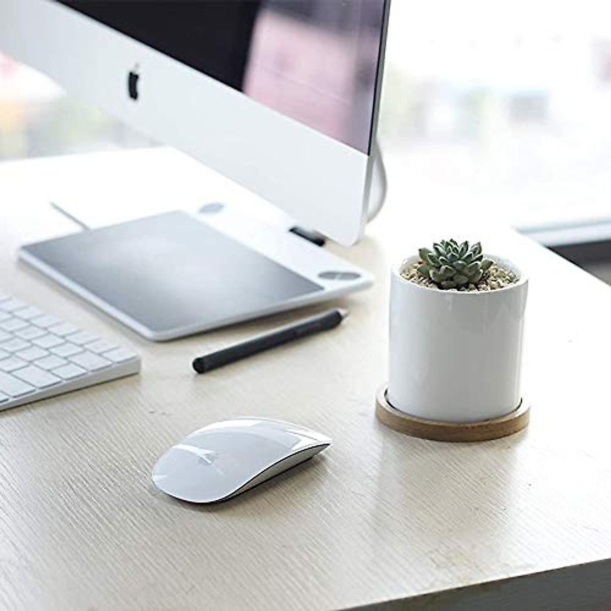 EFISPSS Succulent Plant Pots, 3.2 inch Ceramic Flower Pot with Bamboo Tray, Small Cactus Planter Pots with Drainage Holes, 8 Pack (Plants NOT Included) (White)