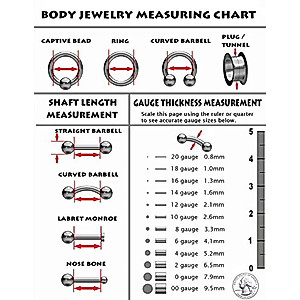 Amelia Fashion 16 GA 8MM Implant Grade Titanium Captive Bead Ring with CZ Pave on Each Side (Choose Color) (Clear)