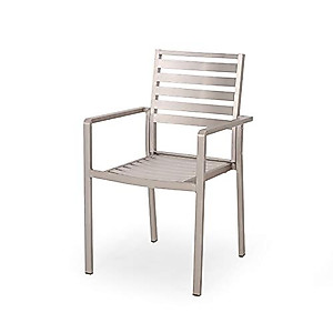 Daisy Outdoor Modern Aluminum Dining Chair (Set of 2), Silver