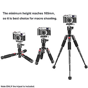 Neewer Portable Desktop Mini Tripod - Aluminum Alloy 20 inches/ 50 Centimeters with 360 Degree Ball Head, 1/4 inch Quick Shoe Plate for DSLR Camera Video Camcorder, Load up to 11 pounds/5 kilograms