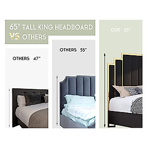 HOWE King Size Bed Frame and 65" Headboard, Upholstered Bed with Golden Plating Trim, Modern Platform Bed No Box Spring Needed, Black