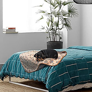 YUEPET Waterproof Dog Blankets, 2 Pack Washable Dog Blankets for Bed Couch Sofa Protector Fleece Flannel Puppy Blanket Soft Plush Reversible Throw Blanket for Small Dog Puppy Cat 30"×20"(White+Coffee)