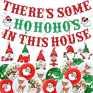Funny Christmas Glitter Banner There's Some Ho Ho Hos in This House Banner Balloons Decorations for Winter Merry Xmas Background Baby Shower Decoration Photo Booth Props