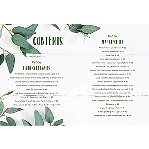 How to Houseplant: A Beginner’s Guide to Making and Keeping Plant Friends