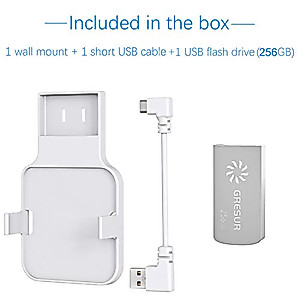 256GB Blink USB Flash Drive for Local Video Storage with The Blink Sync Module 2 Mount (Blink Add-On Sync Module 2 is NOT Included)…