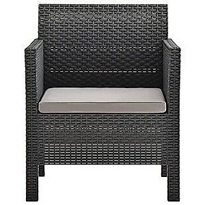 ZQQLVOO Patio Chairs with Cushions,Armchair,Dining Chairs,Leisure Chairs,Garden Chairs,for Swimming Pools,Decks,Gardens,Backyards,2 pcs PP Rattan Anthracite