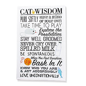 DII Everyday Pets Kitchen Collection Absorbent Dishtowel Set, 18x28, Cat Print, 3 Count