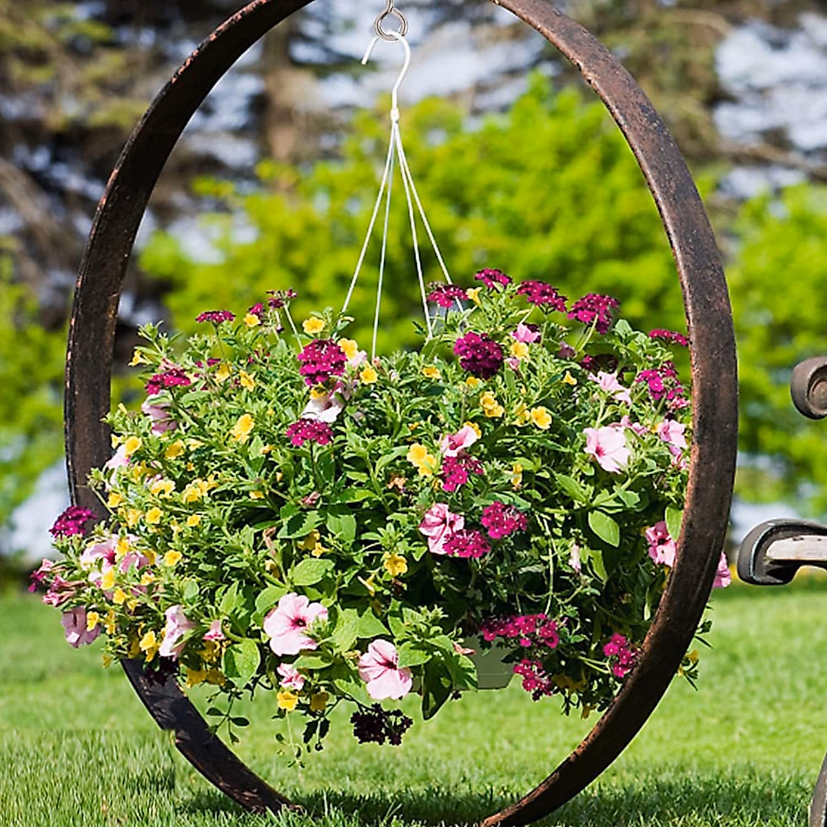 Axe Sickle 2 Inch Screw Eyes Metal Eye Hooks Small Eyelet Screws, 30 Pcs