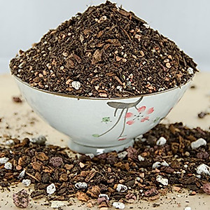 10 Cups Super Blend All Purpose Organic Bonsai Tree Soil - with Mycorrhizae, Red Lava & Coarse Sand