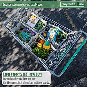 VENO 4 Pack Reusable Grocery Shopping Bag w/bottle holder, Hard bottom, Foldable, Multipurpose Heavy Duty Tote, Daily Utility bag, Stands Upright, Sustainable (Set of 4, Beige)