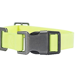 Carhartt Nylon Duck Dog Collar, Fully Adjustable Durable 2-Ply Cordura Nylon Canvas Collars for Dogs, Brite Lime, Large