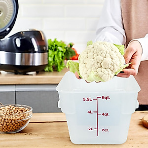 Fonteme Polypropylene Square Food Storage Container - 6 Qt | Translucent Plastic Food Container with Red Lid & Easy-to-Read Measurements | BPA-Free and Dishwasher Safe | Keeps Food Fresh and Safe