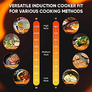 Chefzilla Portable Induction Cooktop Burner, 1200W Single Induction Countertop with Plug Fast Warm-Up Hot Plates for Electric Cooking Home Kitchen Office RV Camping Boat, Easy to Clean