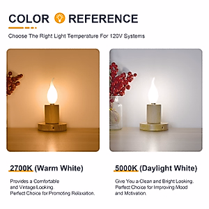 Frosted E12 Candelabra Bulb 25W Equivalent LED Chandelier Light Bulbs- 2W Dimmable E12 LED Bulb- 2700K Soft Warm- CA10 Flame Tip Candle Bulbs for Bedroom, Living/Dining Room, Wall Lantern- 3 Count