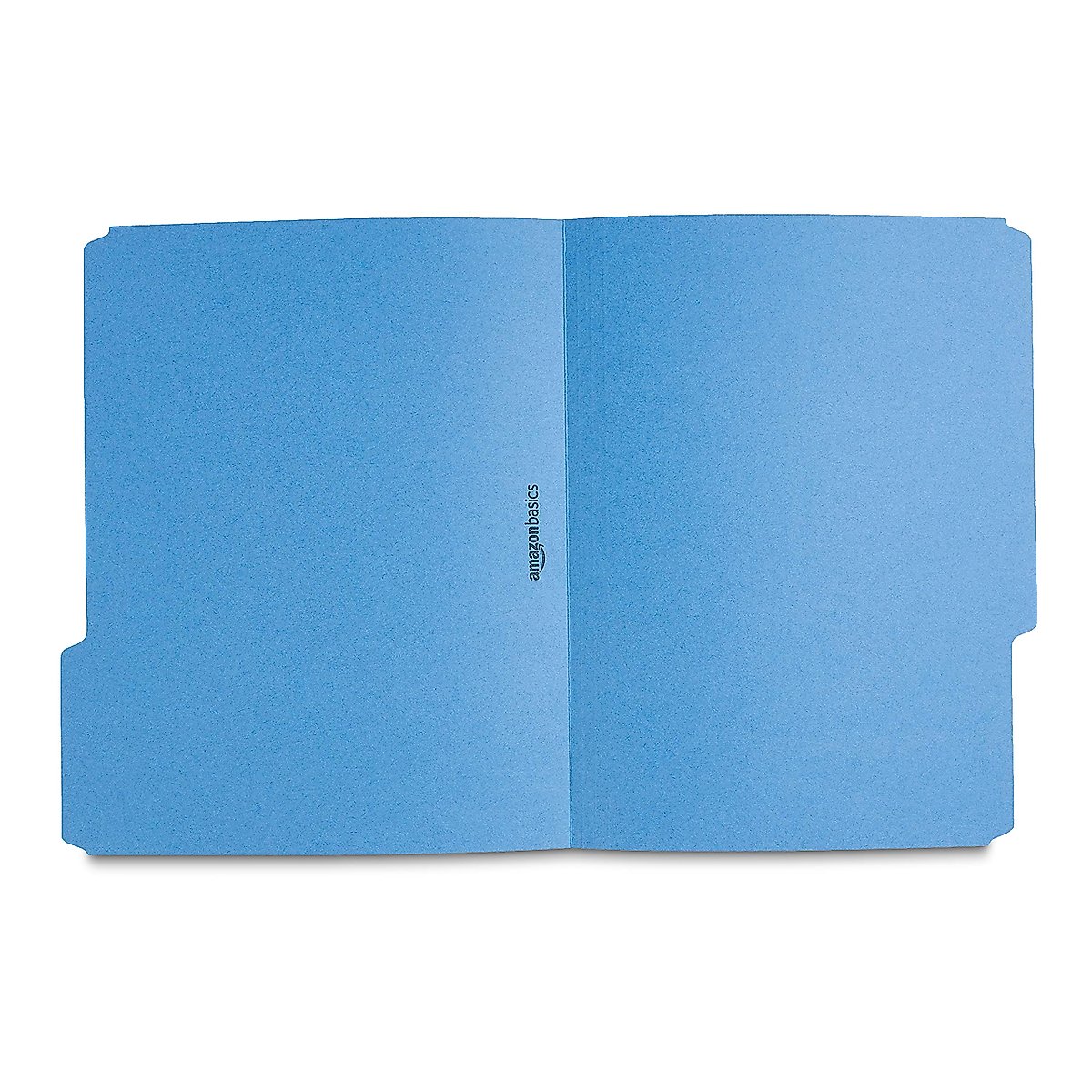 Amazon Basics File Folders - Letter Size (100 Pack) – Assorted Colors