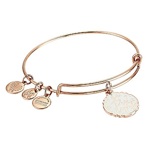 Alex and Ani Mantras + Inspirational Expandable Bangle for Women, Be The Light Charm, Shiny Rose Gold Finish, 2 to 3.5 in, One Size (A19EBLIGHTSR)
