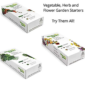 Window Garden - Evening Sun Sunflower Flower Starter Kit - Grow Beauty. Germinate Seeds on Your Windowsill Then Move to Planter or Beds. Mini Greenhouse System Make’s it Foolproof, Easy and Fun.