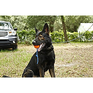The Nero Ball Classic TM - K-9 Ball On a Rope Reward and Exercise Toy - Police K-9 - Schutzhund