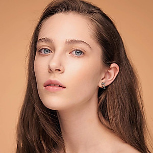 LOVECOM 2 Piece Frog 925 Sterling Silver Dangle Post Earrings for Women Cute Frog Vintage Animal Earring Jewelry Birthday Gifts