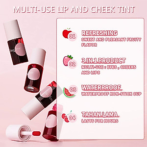 2 Colors Lip Tint Stain Set, Mini Liquid Lipstick, Velvet Lip Tint Watery Lip Stain, Plump Lip Gloss Moisturizing ​Tinted for Cheek & Lip, Natural Shimmery Lip Tint Stain Lip Color Makeup(01#+03#)