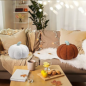 2 Pieces Simulated Pumpkin Plush Pillow 11 x 9.5 Inch 3D Thanksgiving Cushion Shaped Pillow Cozy Fall Decorations Toy Pillows for Thanksgiving Christmas Bedroom Sofa Couch Supplies (White, Brown)