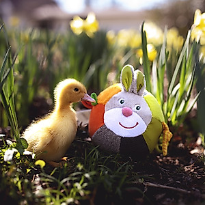 HABA Bunny Ball with Crinkle Ears, Textured Fabric and Rattling Effects