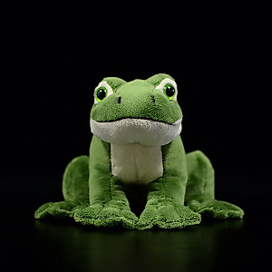 Nohito Kawaii Realistic Frog Plush Toy Simulation Green Frog Stuffed Animal Lifelike Amphibian Reptilian Plushie Pillow Toys Home Decoration 6.2" Long (Green Frog)
