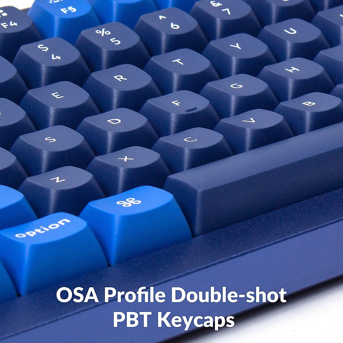 Keychron Q5 RGB QMK/VIA Programmable Macro Wired Custom Mechanical Keyboard with Hot-Swappable Gateron G Pro Brown Switch, 96% Layout Full Aluminum Double Gasket for Mac Windows Linux(Blue)