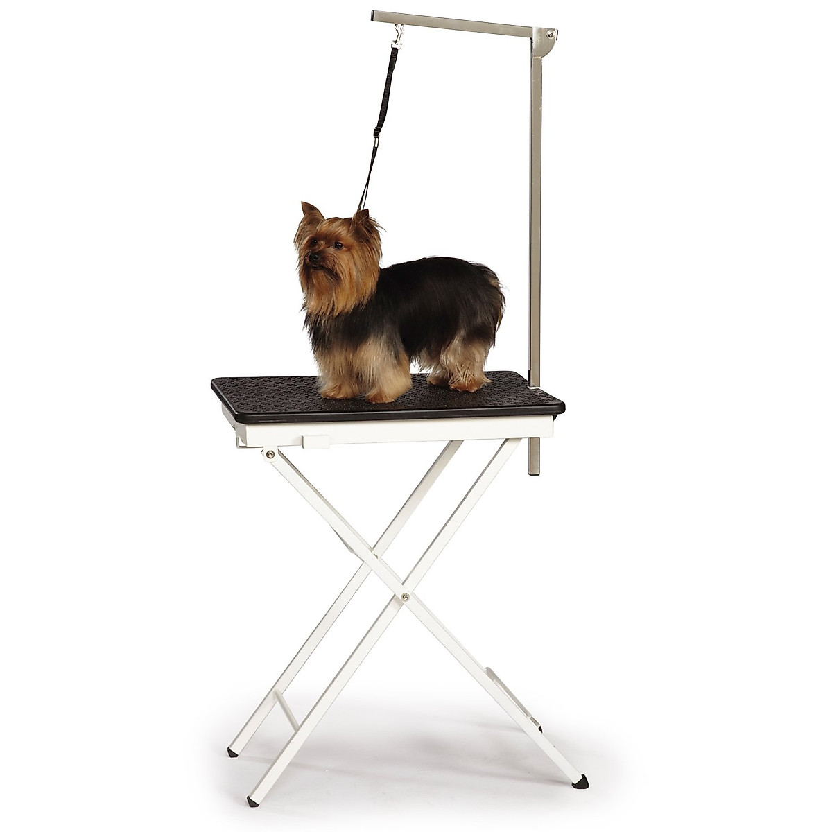 Master Equipment Steel Versa Competition Pet Grooming Table