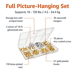 Amazon Basics Picture Hanging Assortment Kit, Brass, 220 Piece Set