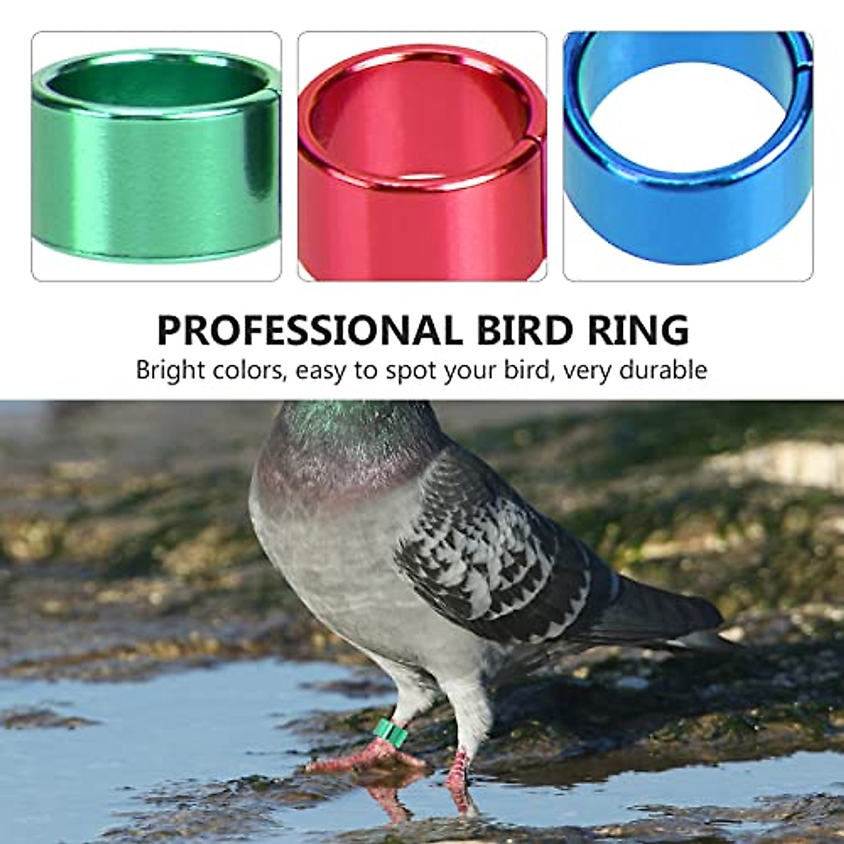 HANABASS 18pcs Aluminium Pigeon Leg Rings Dove Leg Rings Identify Bands Training Identify Birds Foot Ring for Pigeons Lovebird Coturnix Quail Chicken Goose Gamefowl Turkey Multicolor