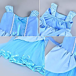 Party Chili Princess Fairy Costume Toddler Girls Birthday Dress Up with Tiara (2T 3T)