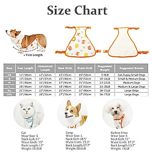Garden Miller Dog Belly Protector, Anti Cold Clothing, Vest for Both Indoor and Outdoor Wear, Washable and Adorable Pajamas_S(Orange-Female)
